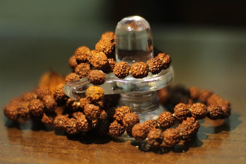 The Power of Rudraksh – ServDharm